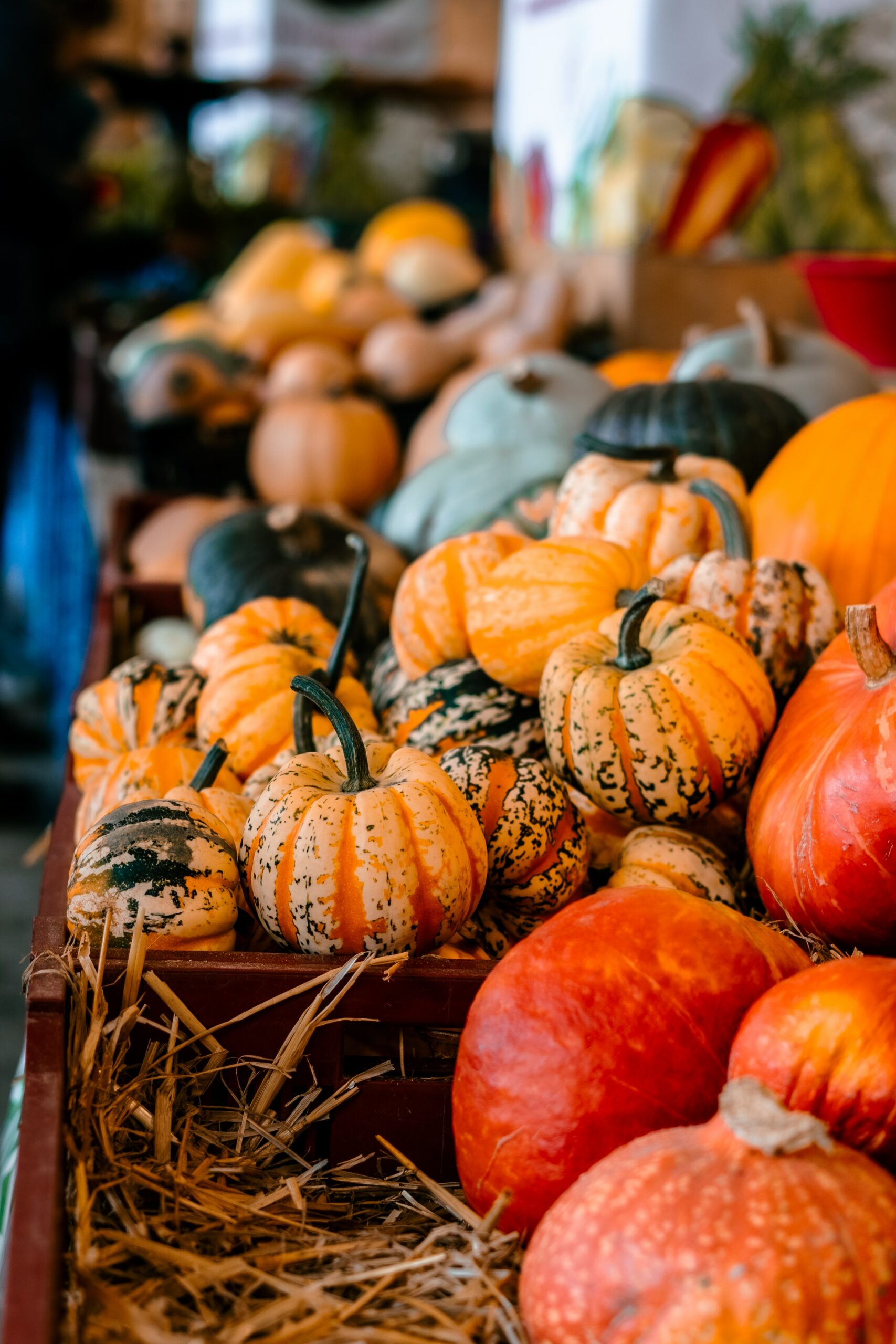Local October Shopping: 6 Fall Pop-Up Markets in Pittsburgh - Table ...