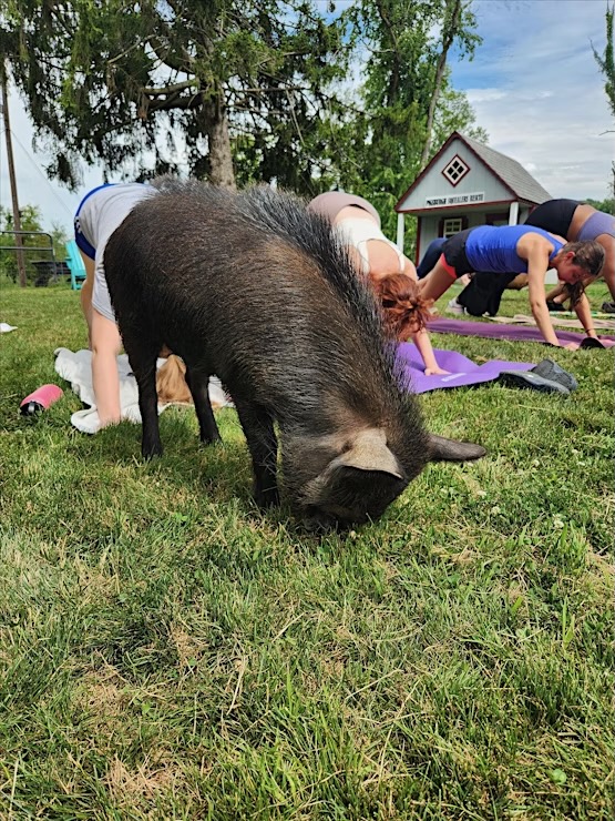 Spring into Spring Classes and Workshops in Pittsburgh - Table Magazine