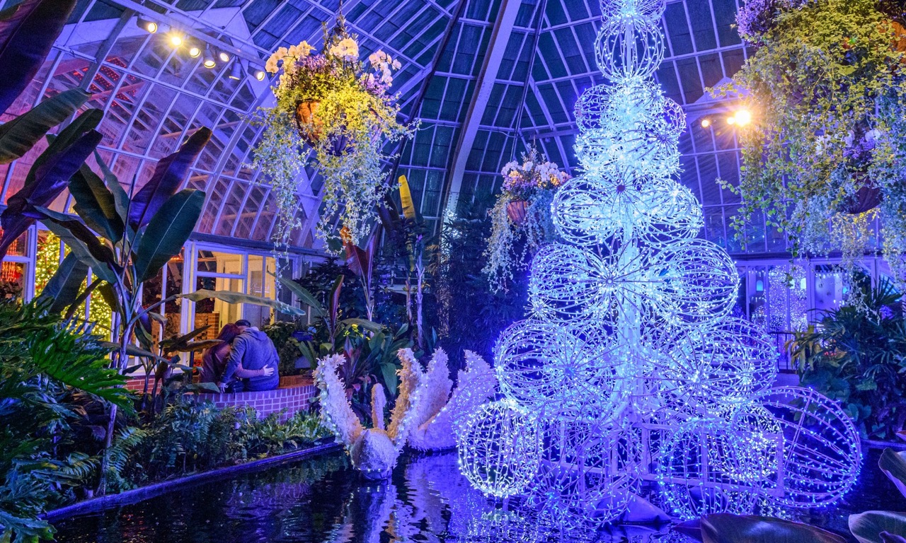 Get in the Festive Spirit at Phipps Holiday Magic: Winter Flower Show ...